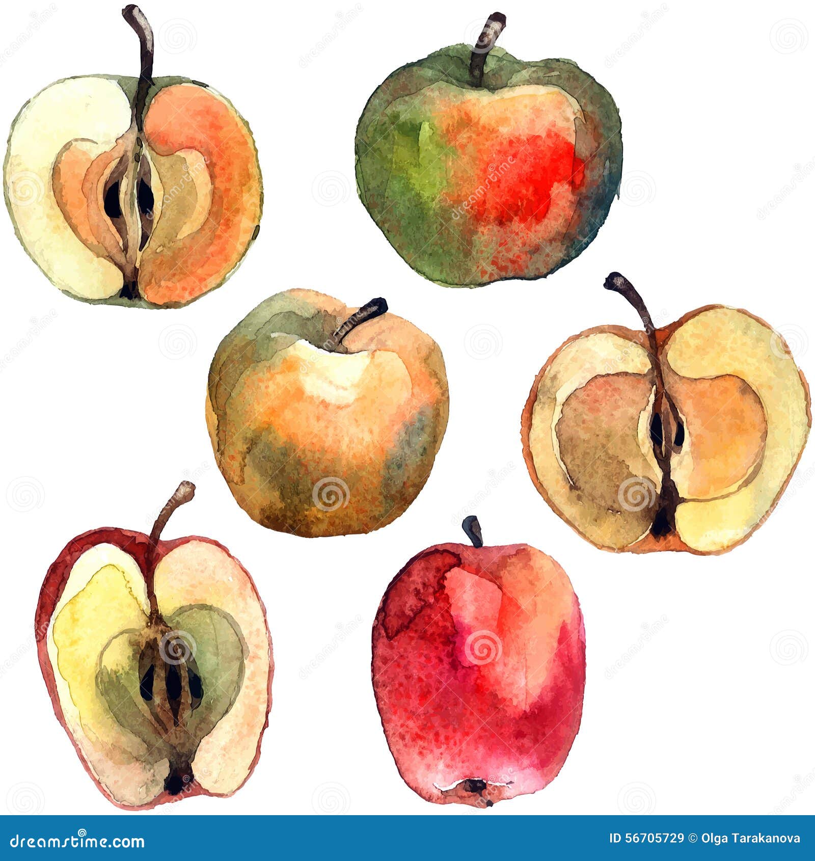 Pommes illustration de vecteur. Illustration of découpage - 56705729