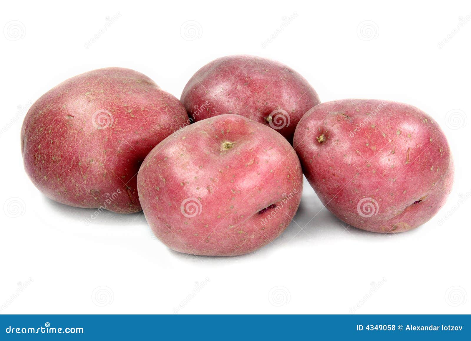 Pommes de terre rouges. photo stock. Image du cuisinier - 4349058