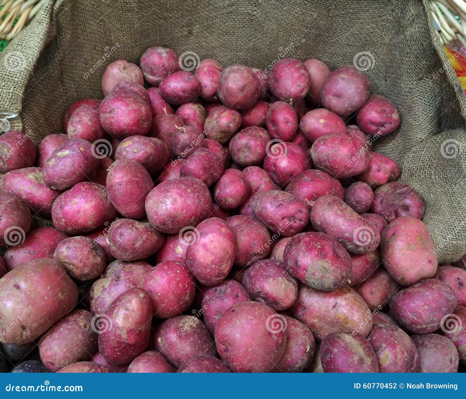 Pommes de terre rouges photo stock. Image du potatoes - 60770452
