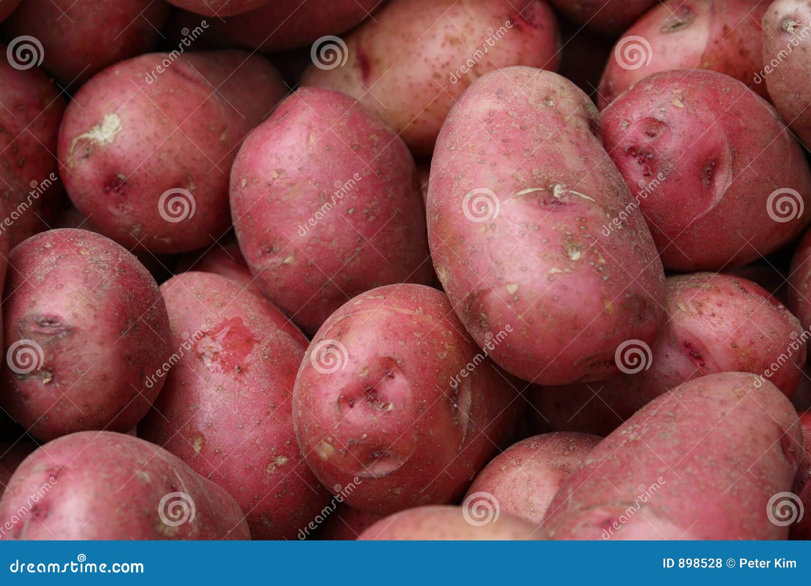 Pommes de terre rouges photo stock. Image du sain, patate - 898528