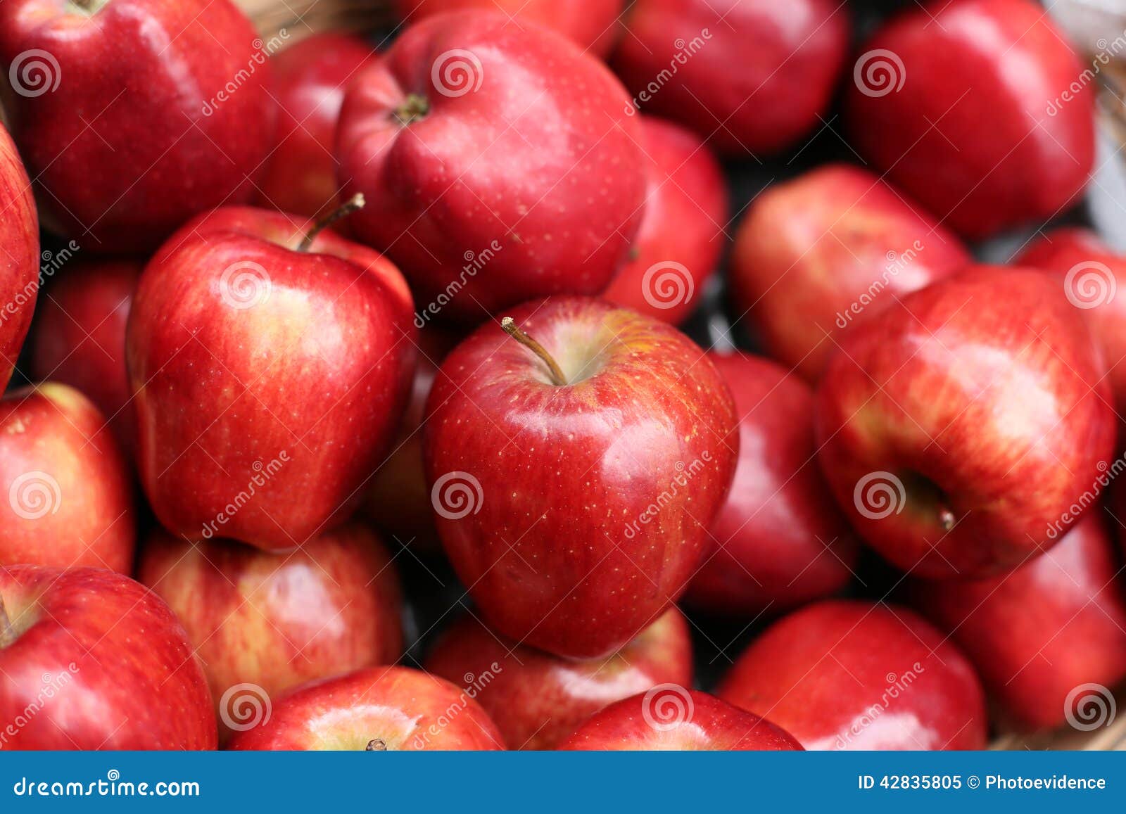 Pommes rouges image stock. Image du normal, pointu, clair - 42835805