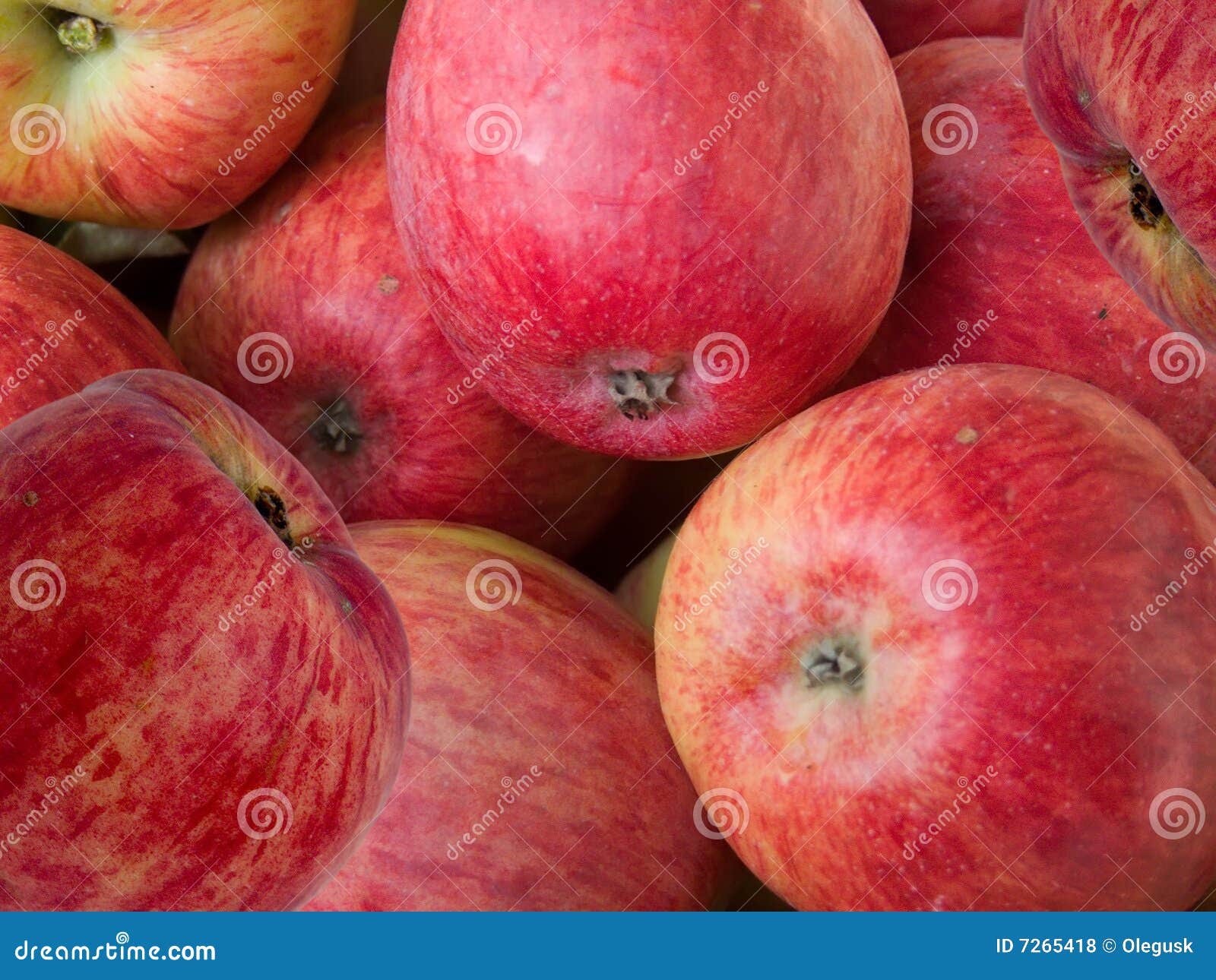 Pommes rouges photo stock. Image du repas, flore, végétarisme - 7265418