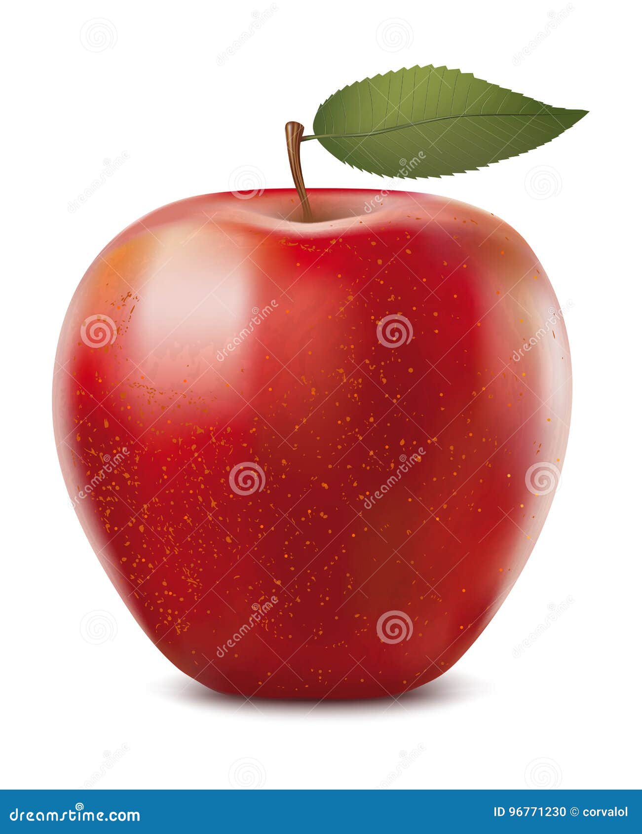 Pommes Rouges Avec Les Lames Vertes Illustration de Vecteur ...