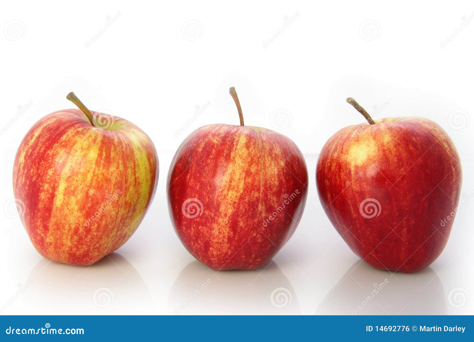 Pommes royales de gala photo stock. Image du délicieux - 14692776