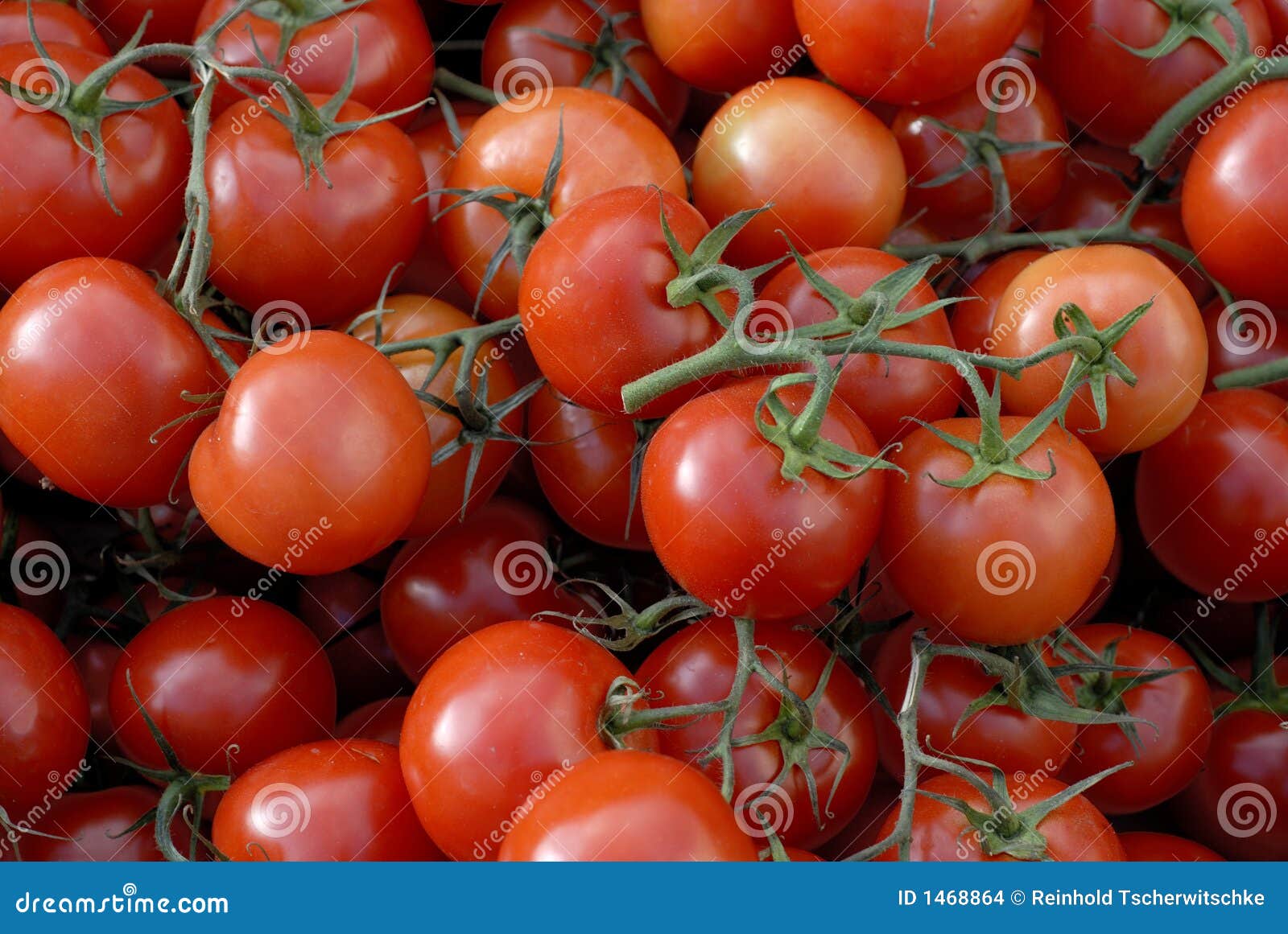 Pomodori fotografia stock. Immagine di nave, nutriente - 1468864