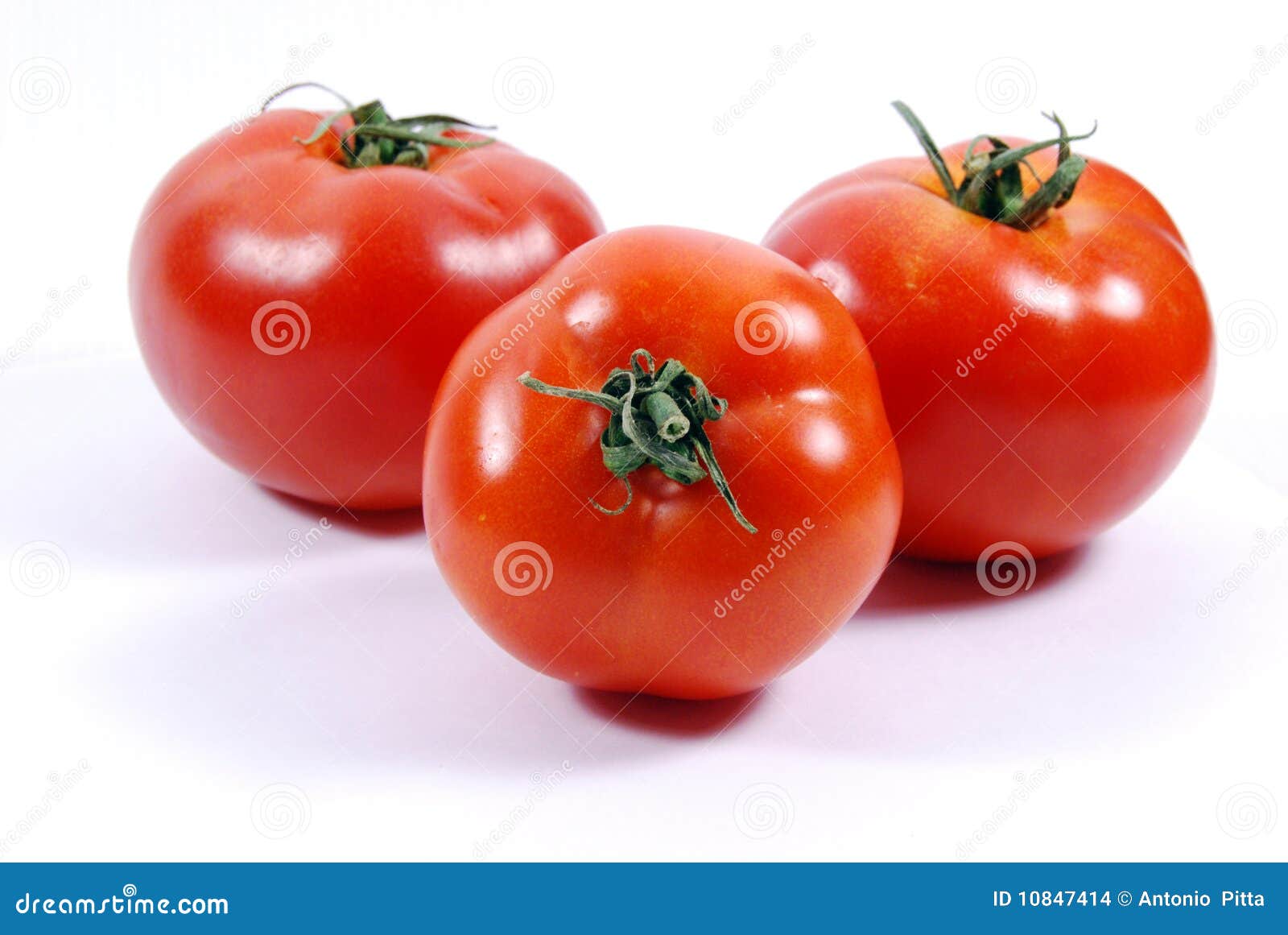 Pomodoro stock photo. Image of pomodoro, fresh, freshness - 10847414