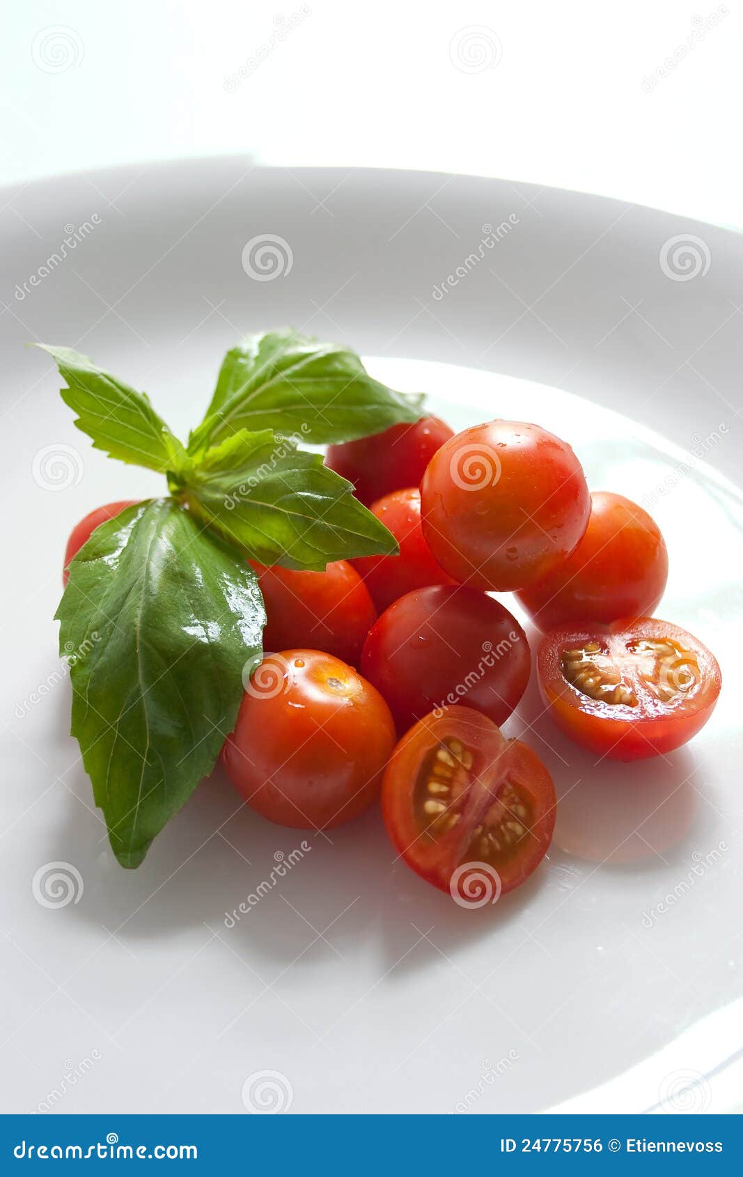 Pomodoro-basilico fotografia stock. Immagine di basilico - 24775756