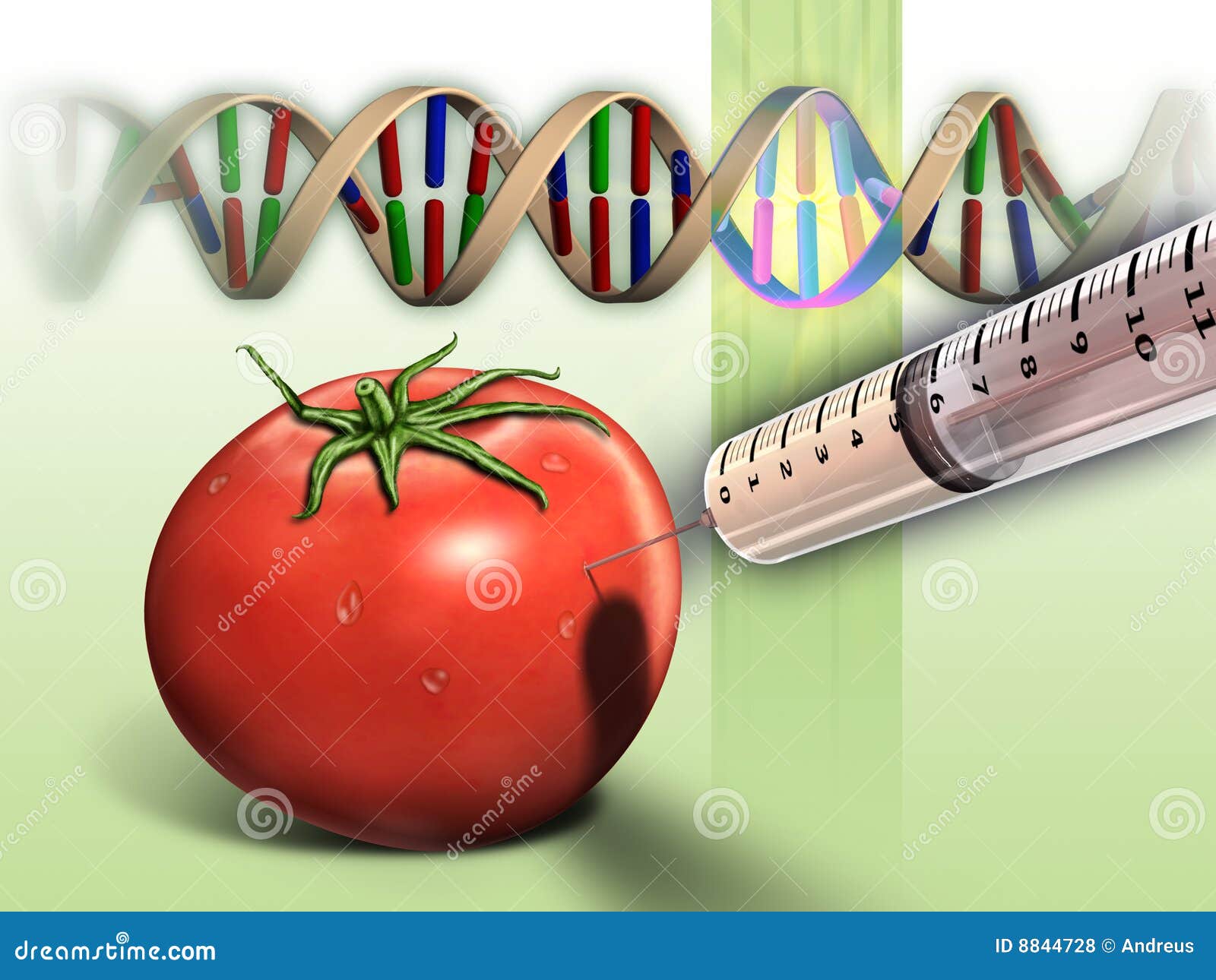 Pomodoro Geneticamente Modificato Illustrazione di Stock ...