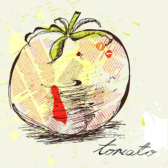 Pomodoro stilizzato illustrazione vettoriale. Illustrazione di singolo ...