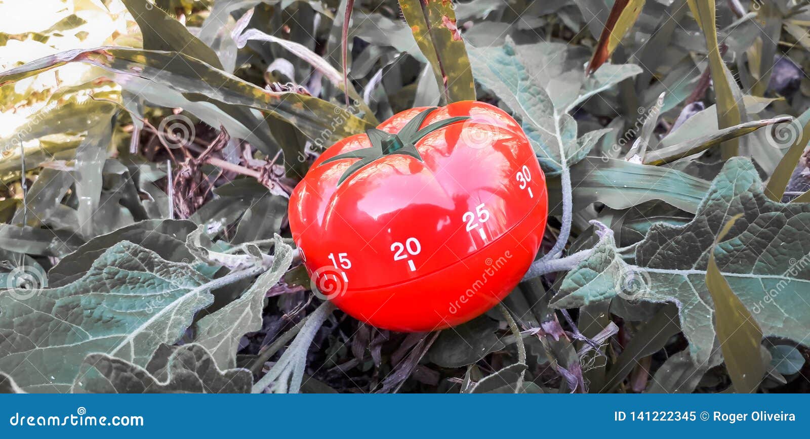 Pomodoro Timer - Mechanical Tomato Shaped Kitchen Timer for Cooking or ...