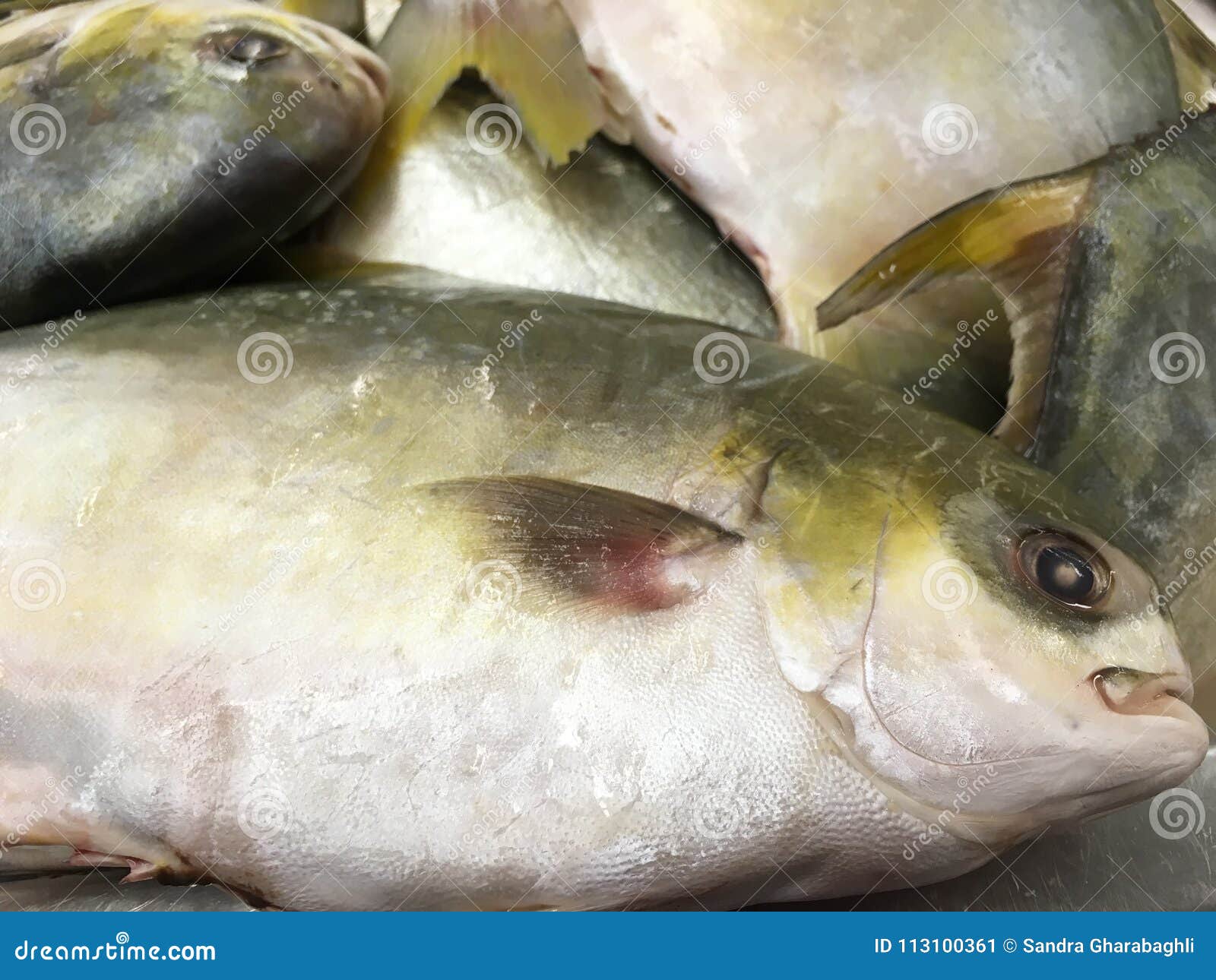Pompano Fish stock image. Image of mild, pompano, delicious - 113100361