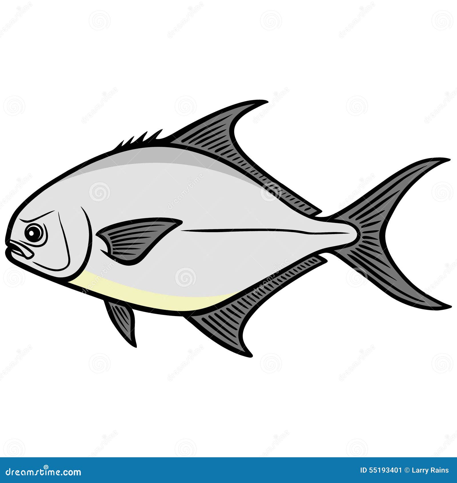Pompano Fish Isolated On White Background. Stock Photo | CartoonDealer ...