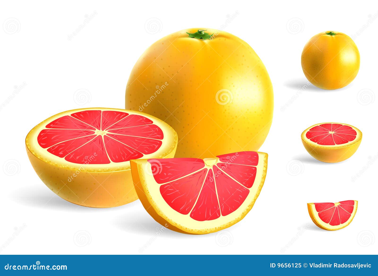 Pompelmo illustrazione vettoriale. Illustrazione di nutrizione - 9656125