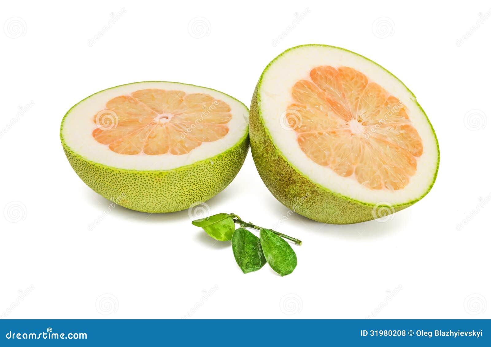Pompelmoes of Chinese Grapefruit Stock Foto - Image of blad ...