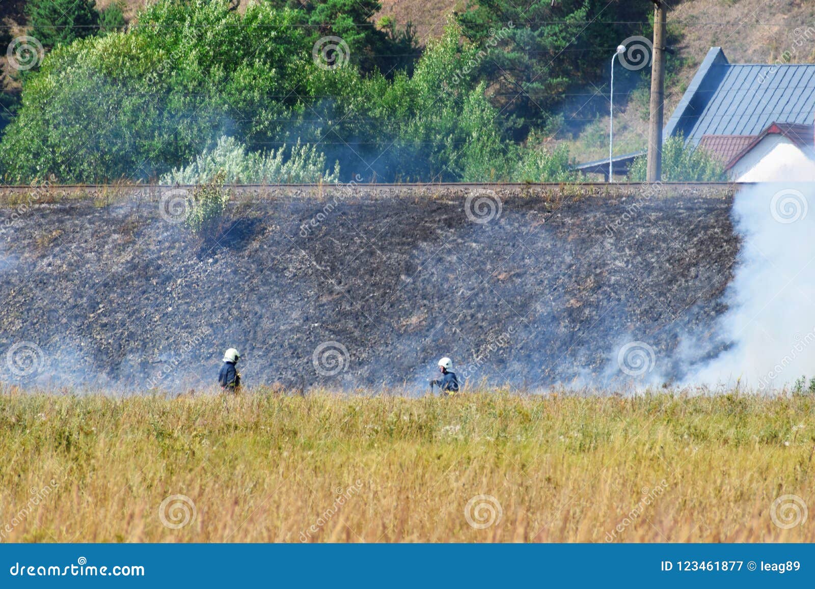 Pompiers Combattant Le Feu Sauvage Image stock - Image du flamme, chaud ...