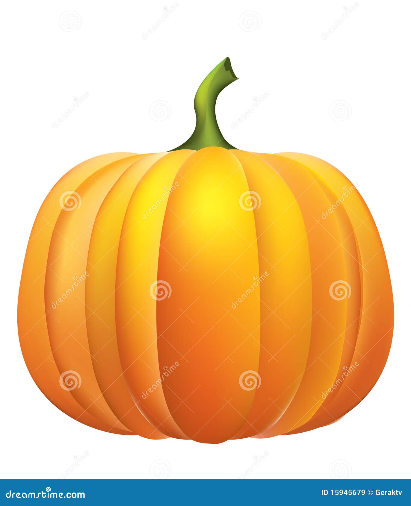 Pompoen. vector illustratie. Illustration of geïsoleerd - 15945679