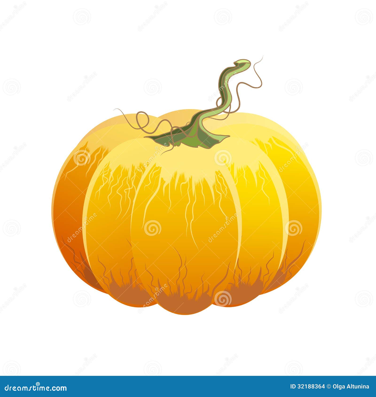 Pompoen vector illustratie. Illustration of sinaasappel - 32188364