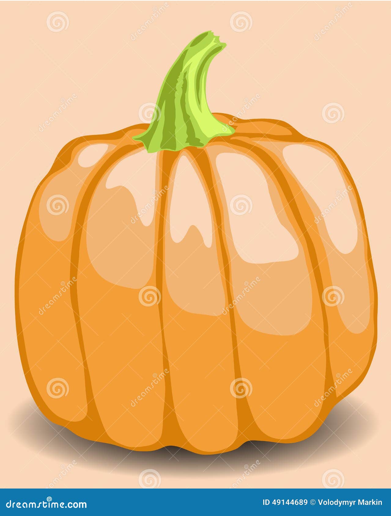 Pompoen vector illustratie. Illustration of cultiveer - 49144689