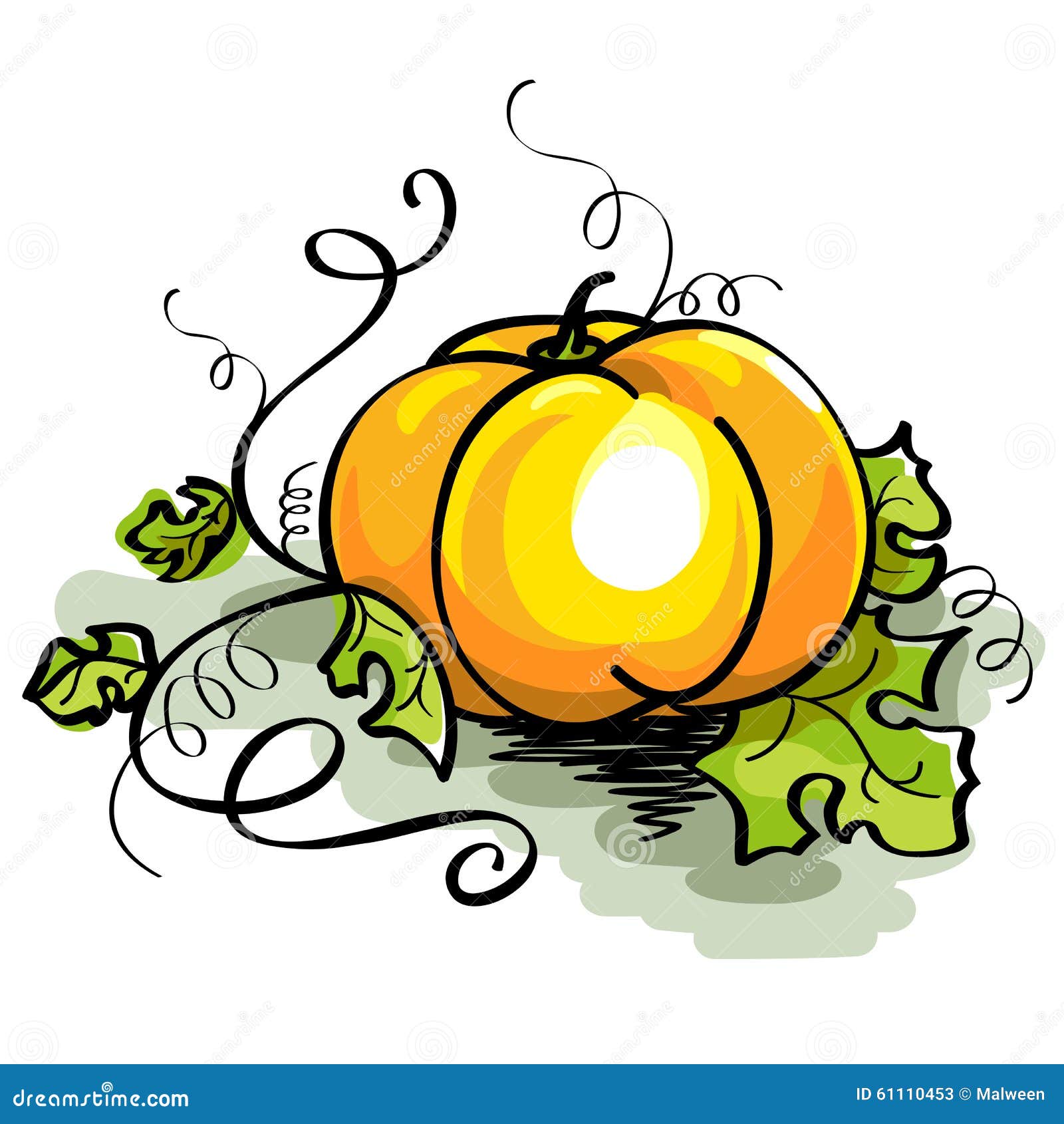 Pompoen vector illustratie. Illustration of kromme, illustratie - 61110453