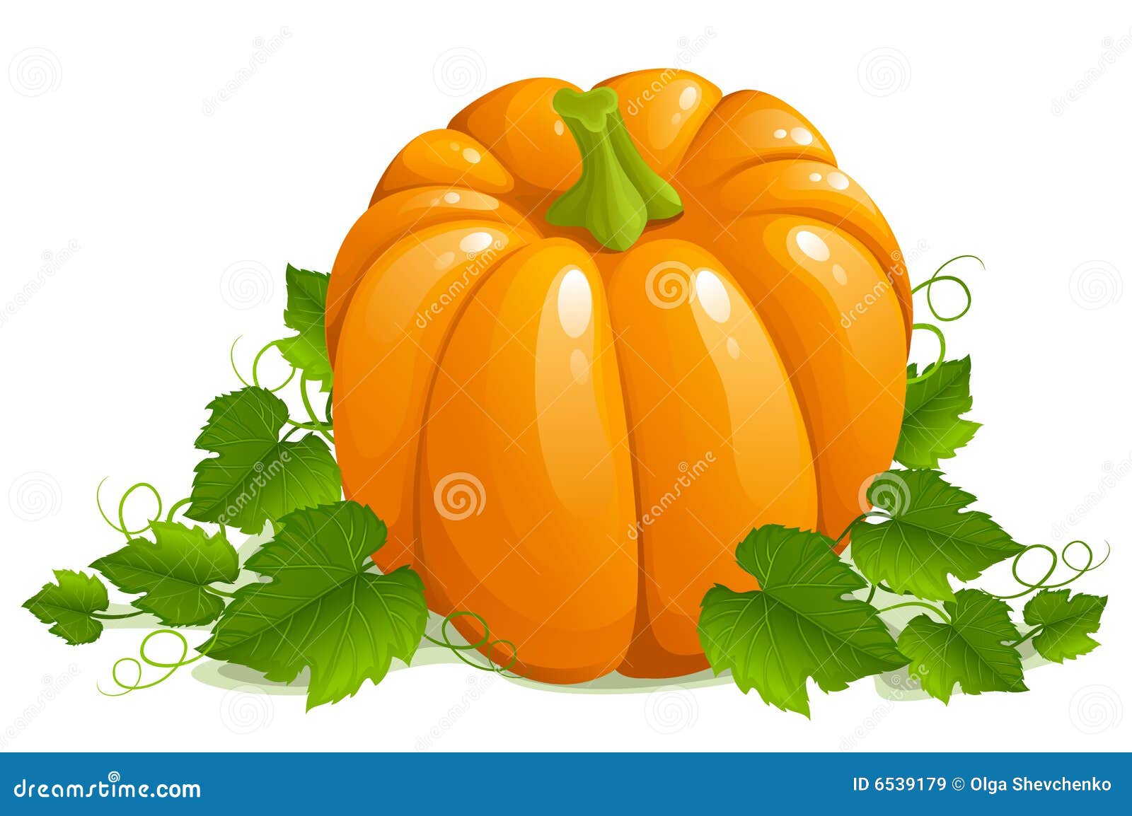 Pompoen vector illustratie. Illustration of najaar, blad - 6539179