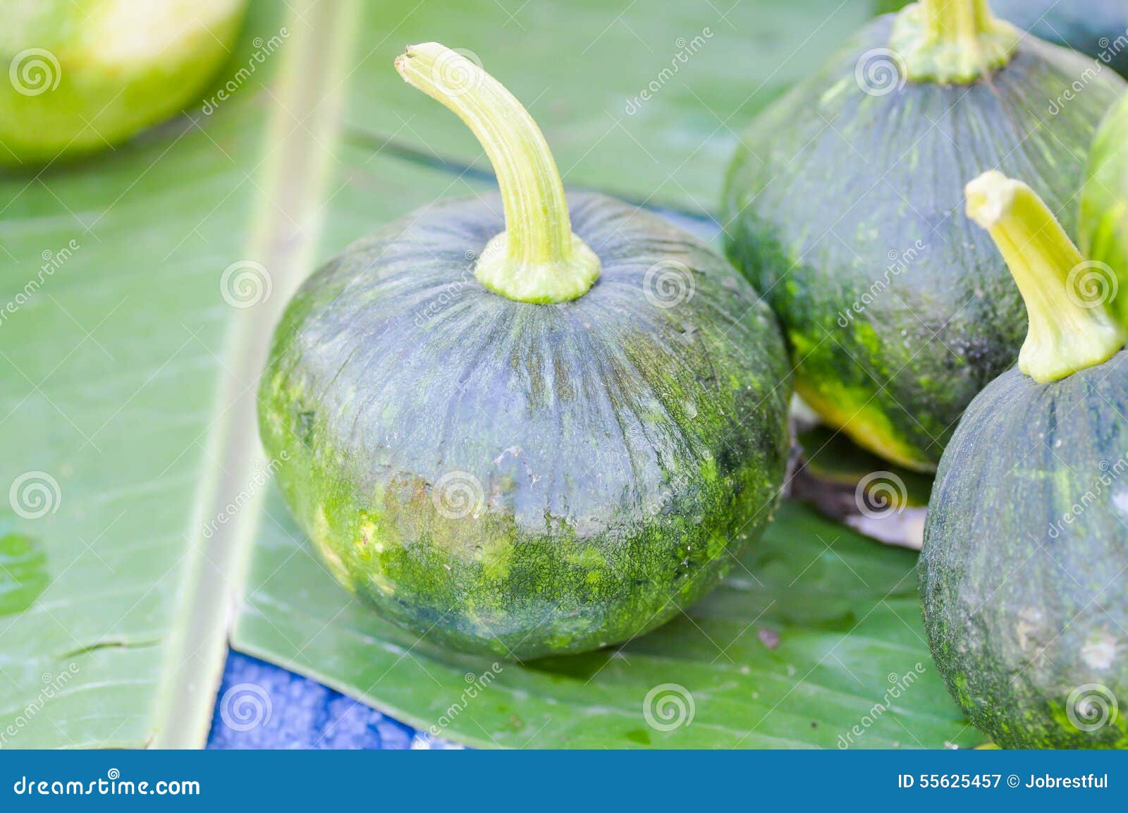 Pompoen, Groene Pompoen, Kleine Pompoen Stock Afbeelding - Image of ...