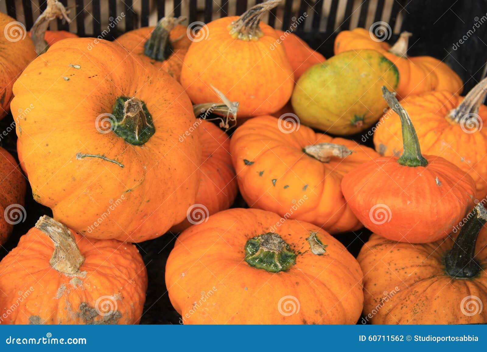 Pompoenen stock foto. Image of sinaasappel, seizoengebonden - 60711562