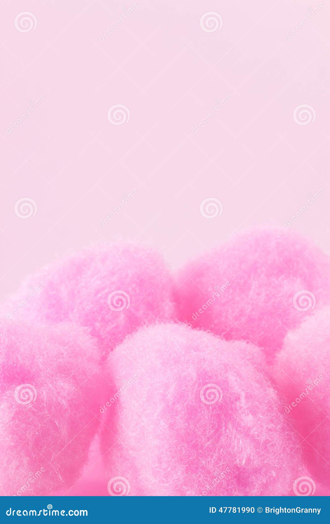 Pompon rosa fotografia stock. Immagine di pomo, colore - 47781990