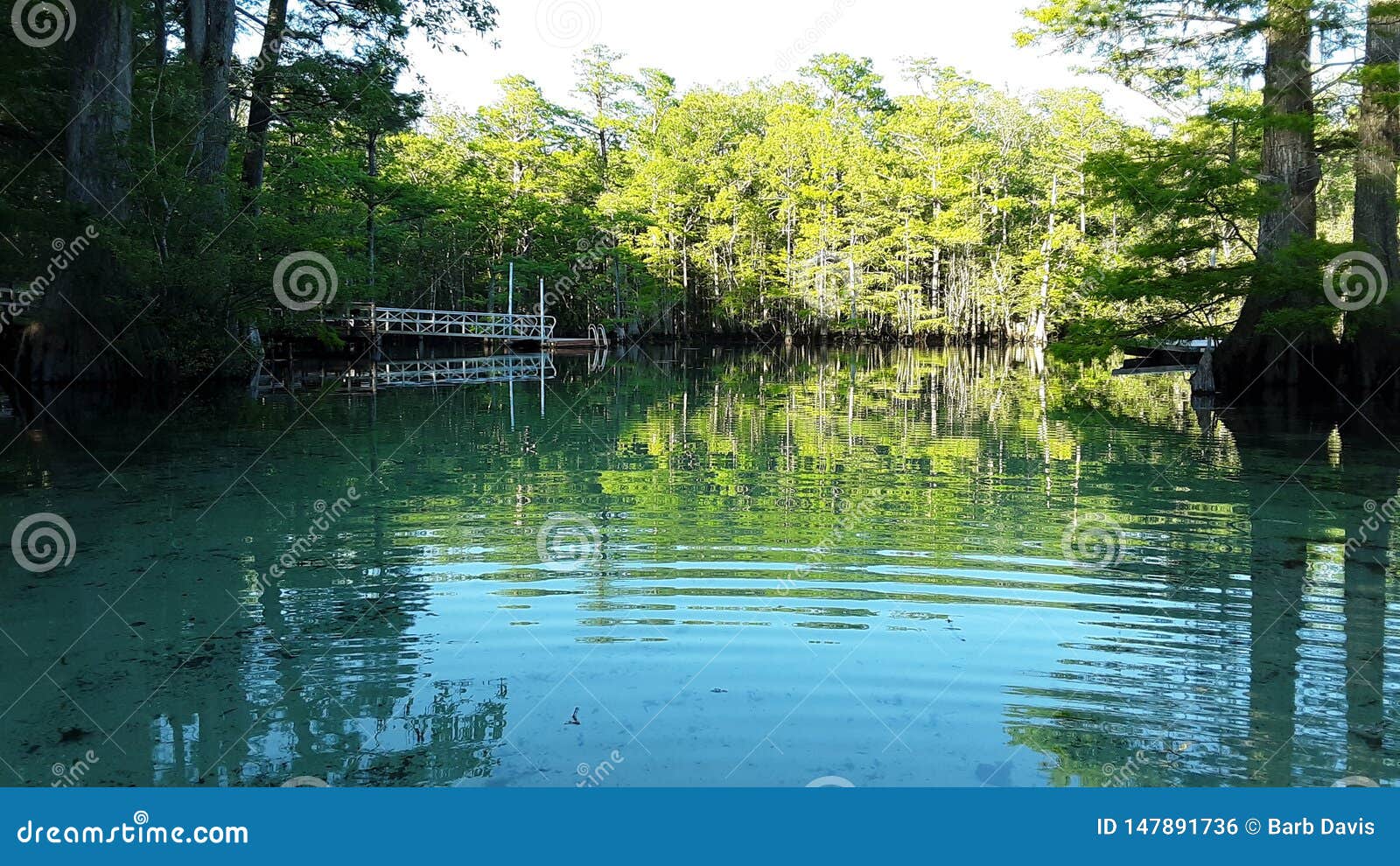 Morrison Springs Cavern Ceiling Stock Photo | CartoonDealer.com #42805464