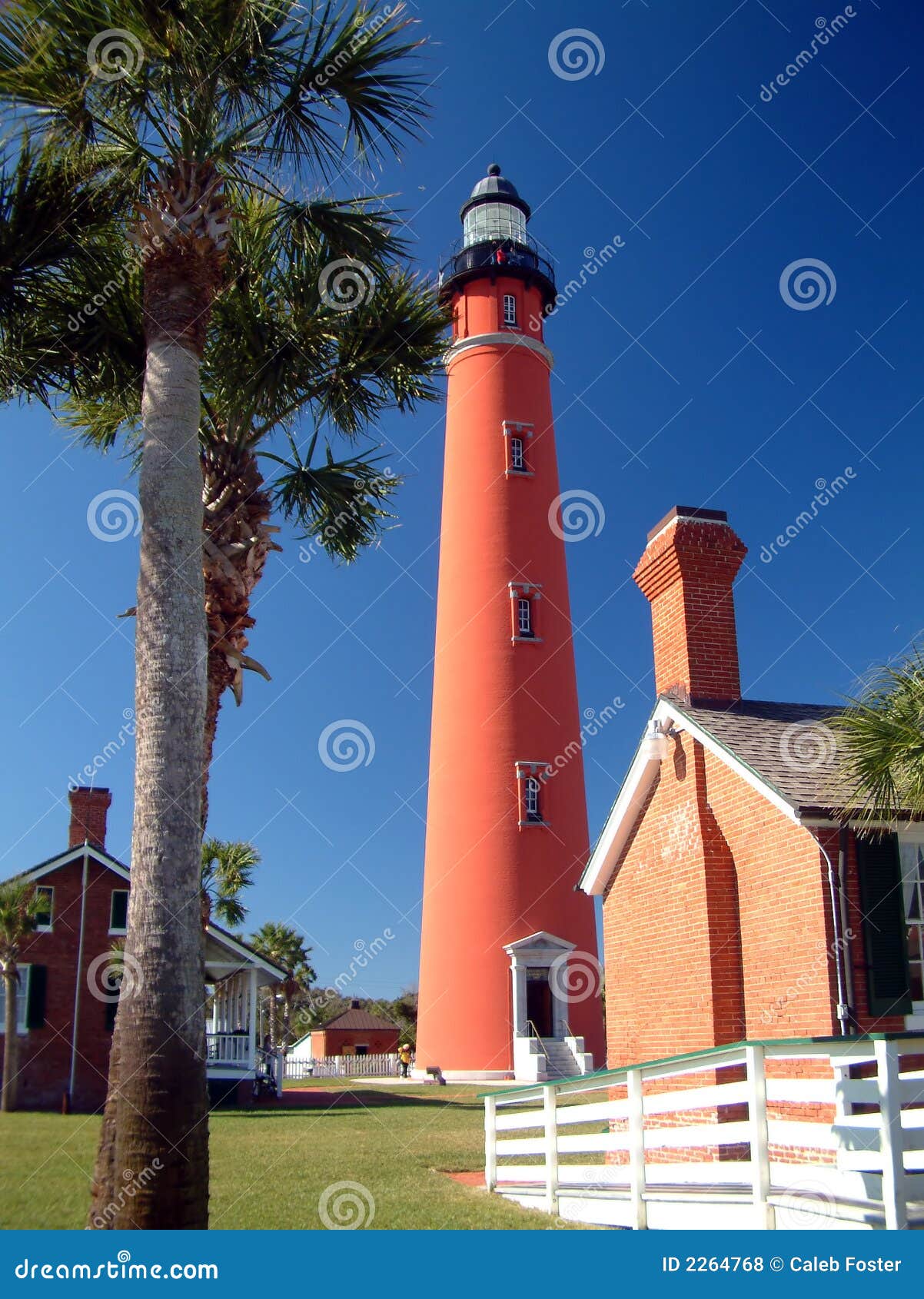 Ponce Inlet Lighthouse stock photo. Image of tree, beach - 2264768