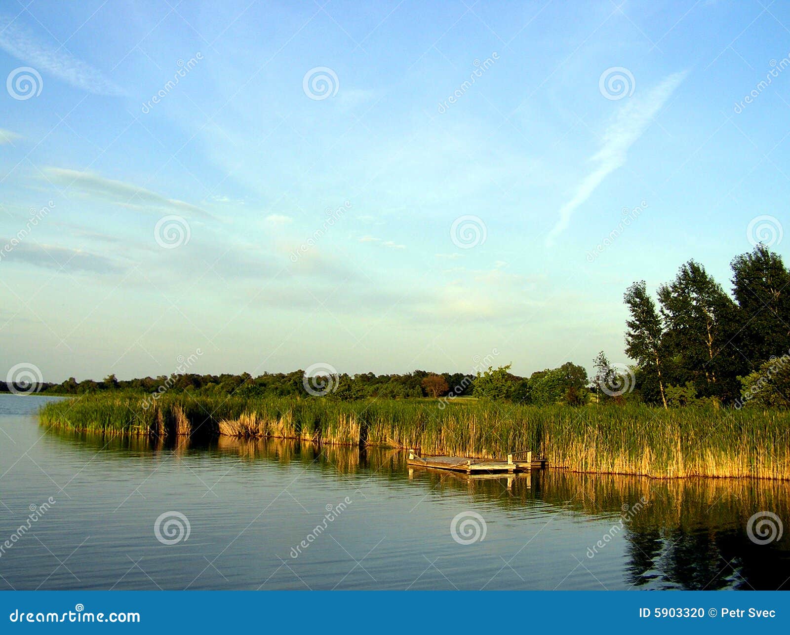 Pond during sunset stock photo. Image of pond, cane, lovely - 5903320