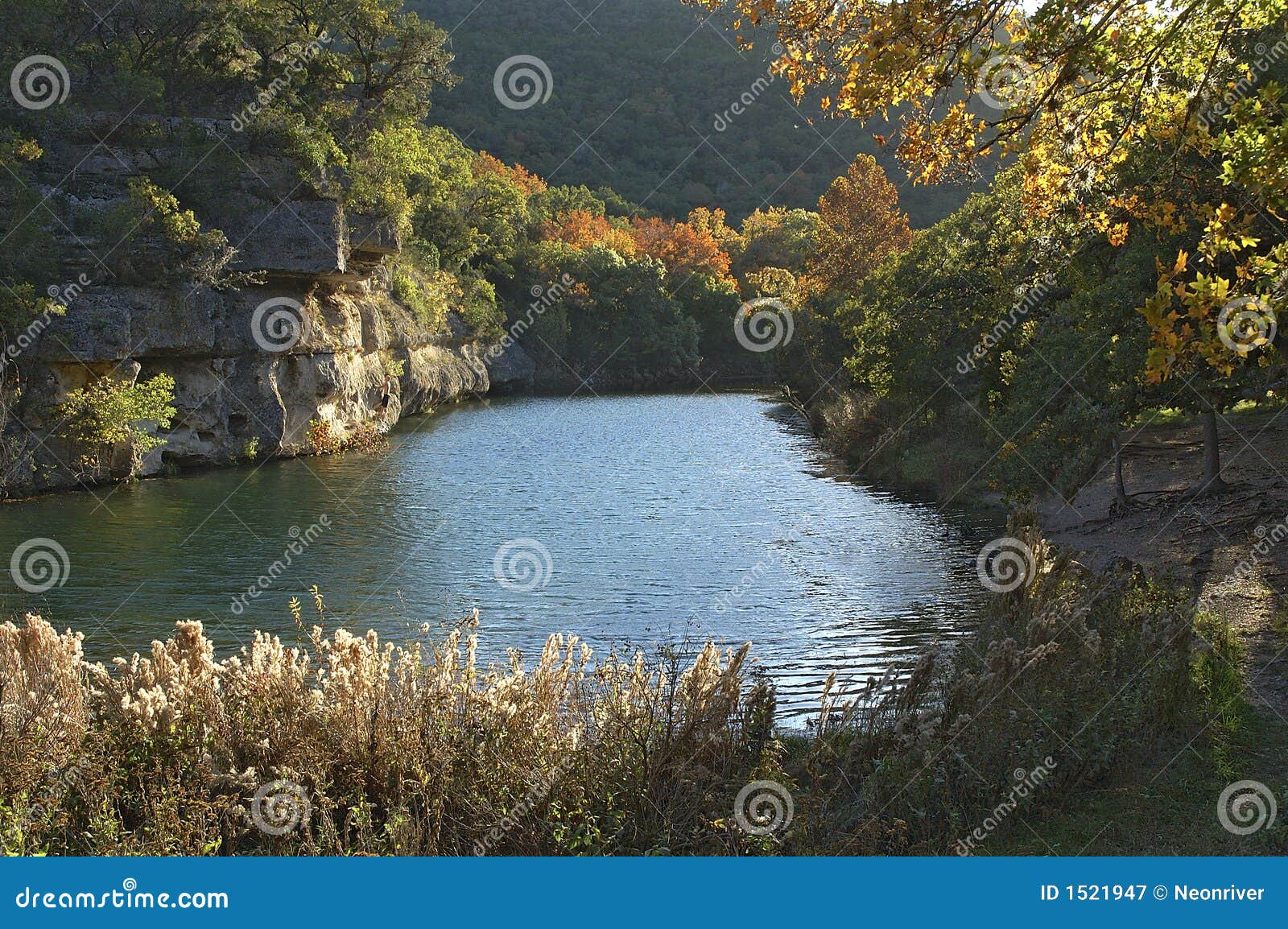 The Pond stock image. Image of country, camping, nature - 1521947