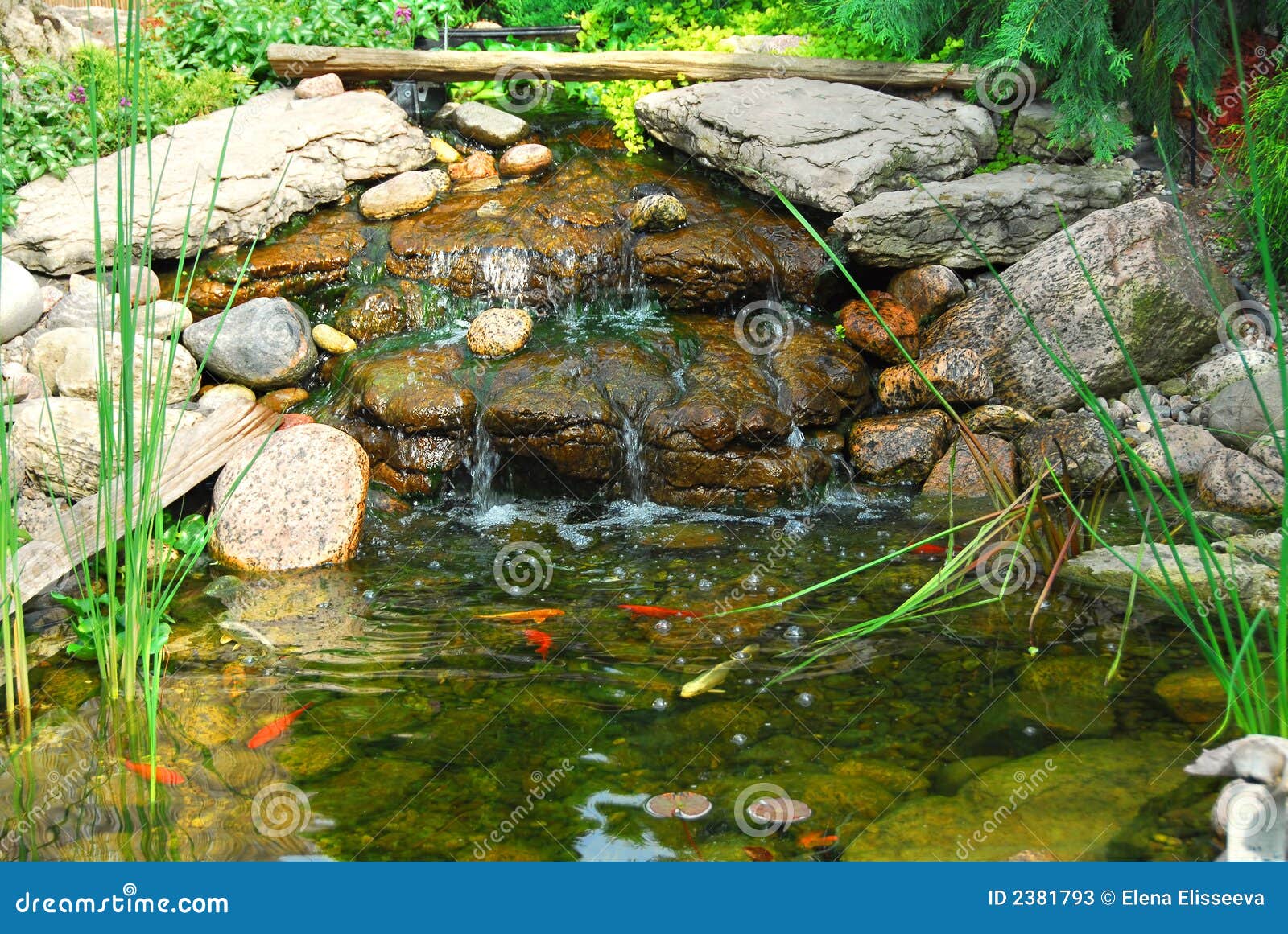 Pond stock image. Image of decorative, fall, gardening - 2381793