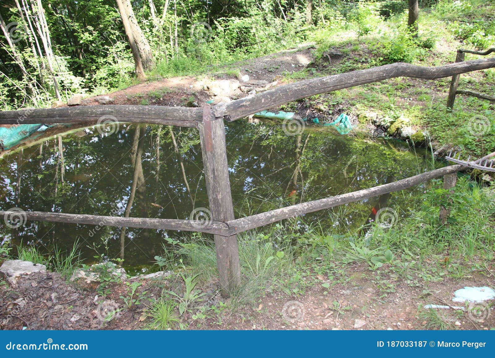 Pond stock image. Image of mirror, pool, pond, serenity - 187033187