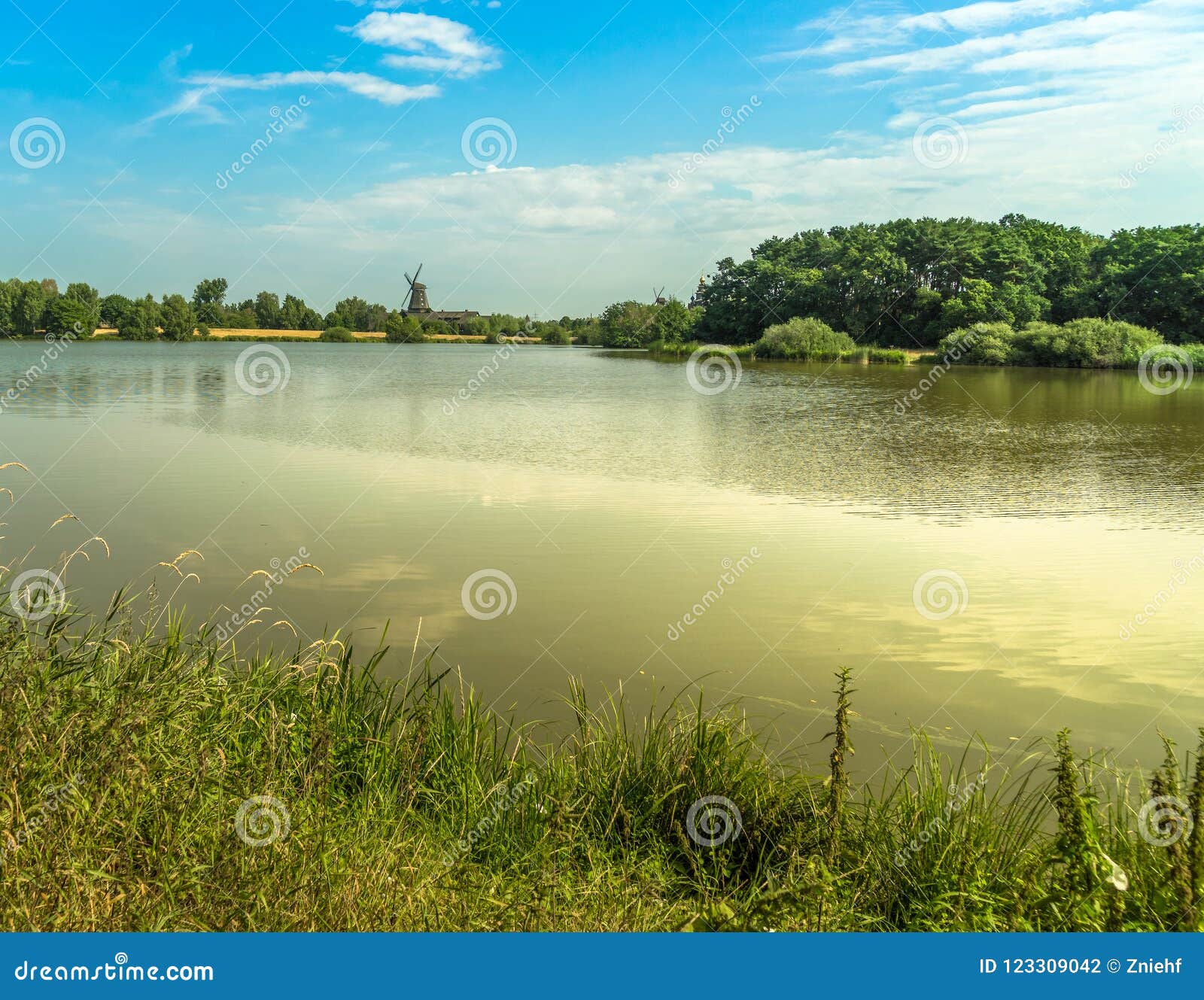 Pond Area with Open Space, Shore at the Background with Trees, Forest ...