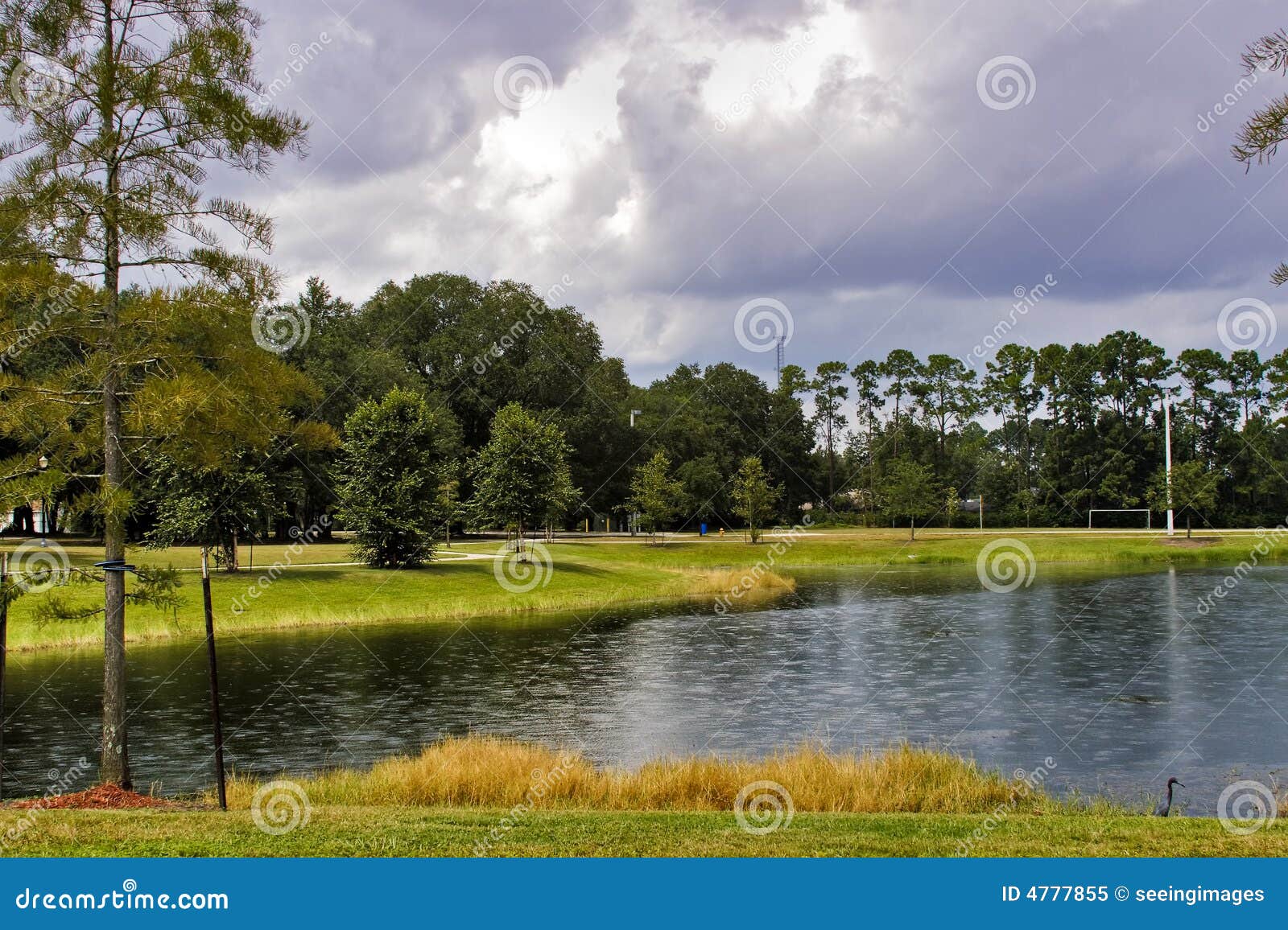 Pond area with rain drops stock image. Image of jacksonville - 4777855
