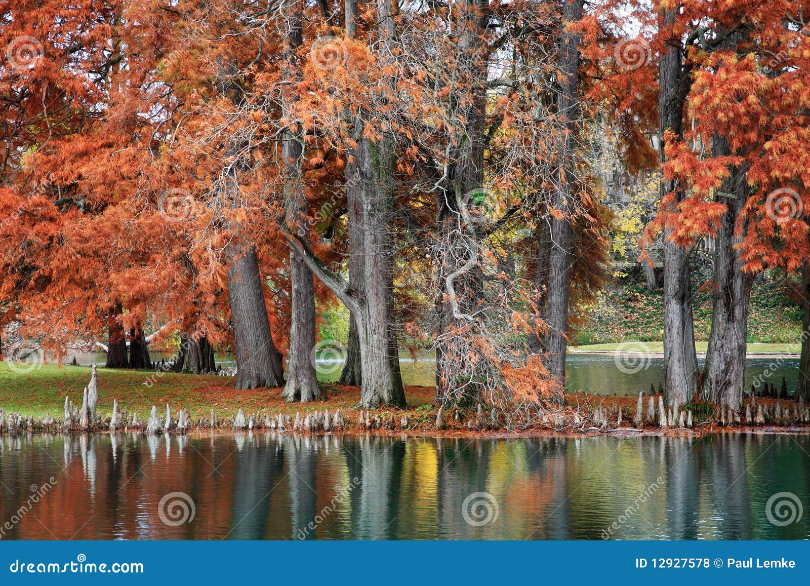 Pond in Autumn stock photo. Image of autumn, green, quiet - 12927578