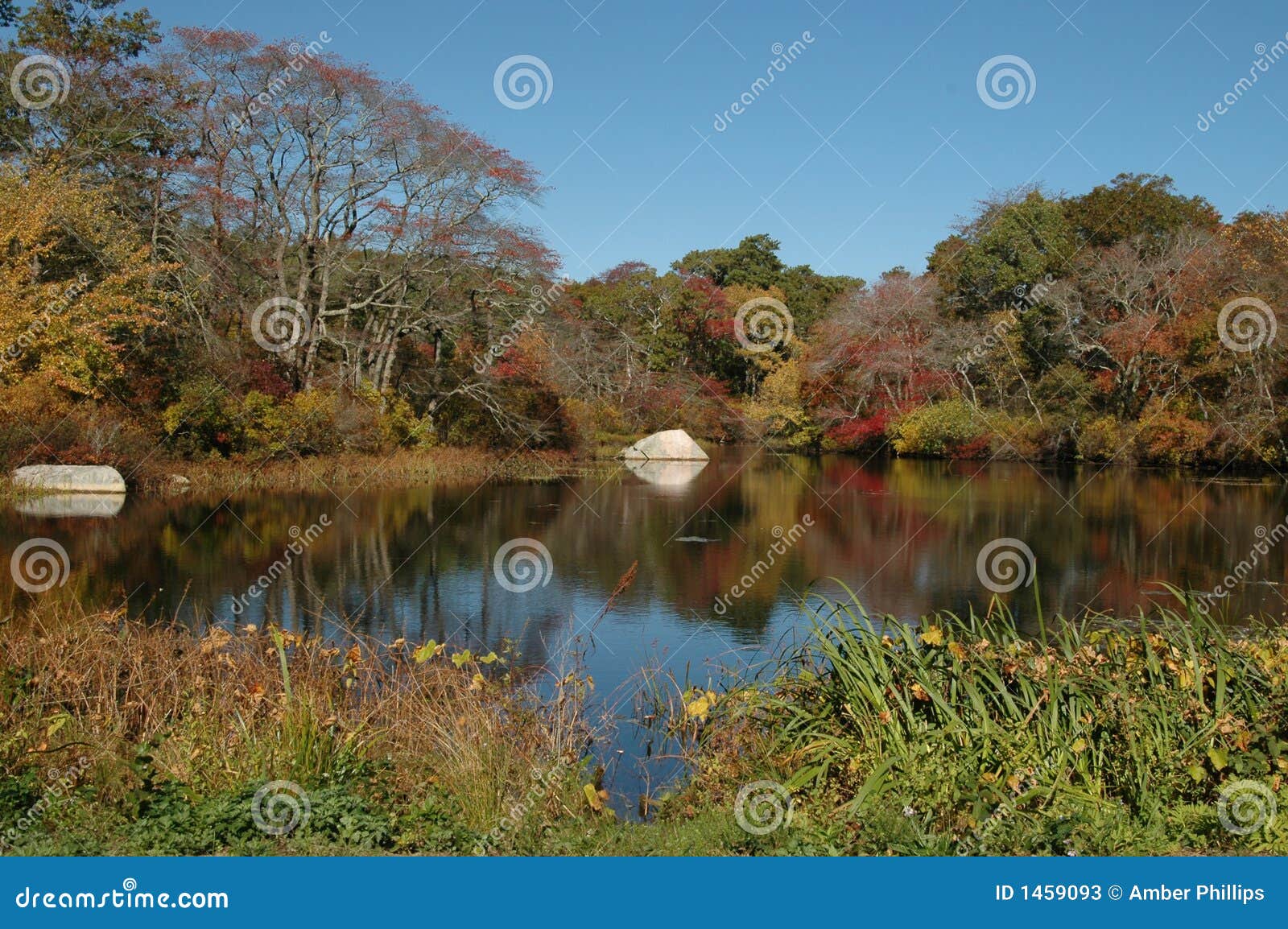 Pond in Autumn stock image. Image of pond, lake, rock - 1459093