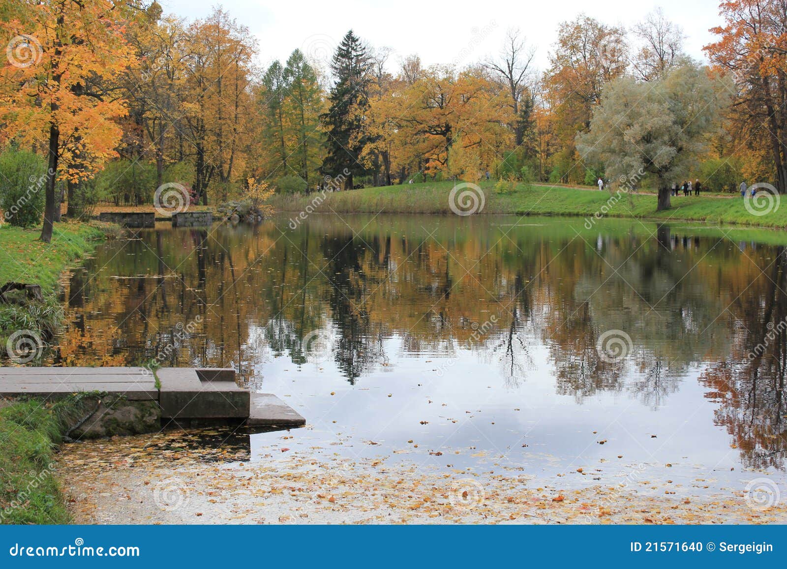 Pond in the autumn stock photo. Image of leaves, park - 21571640