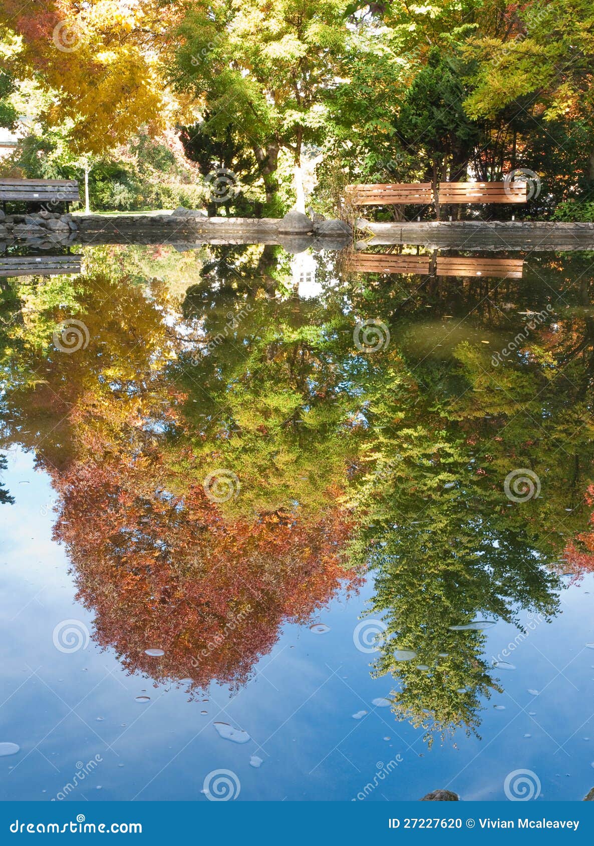 Pond in Autumn stock photo. Image of reflection, pond - 27227620