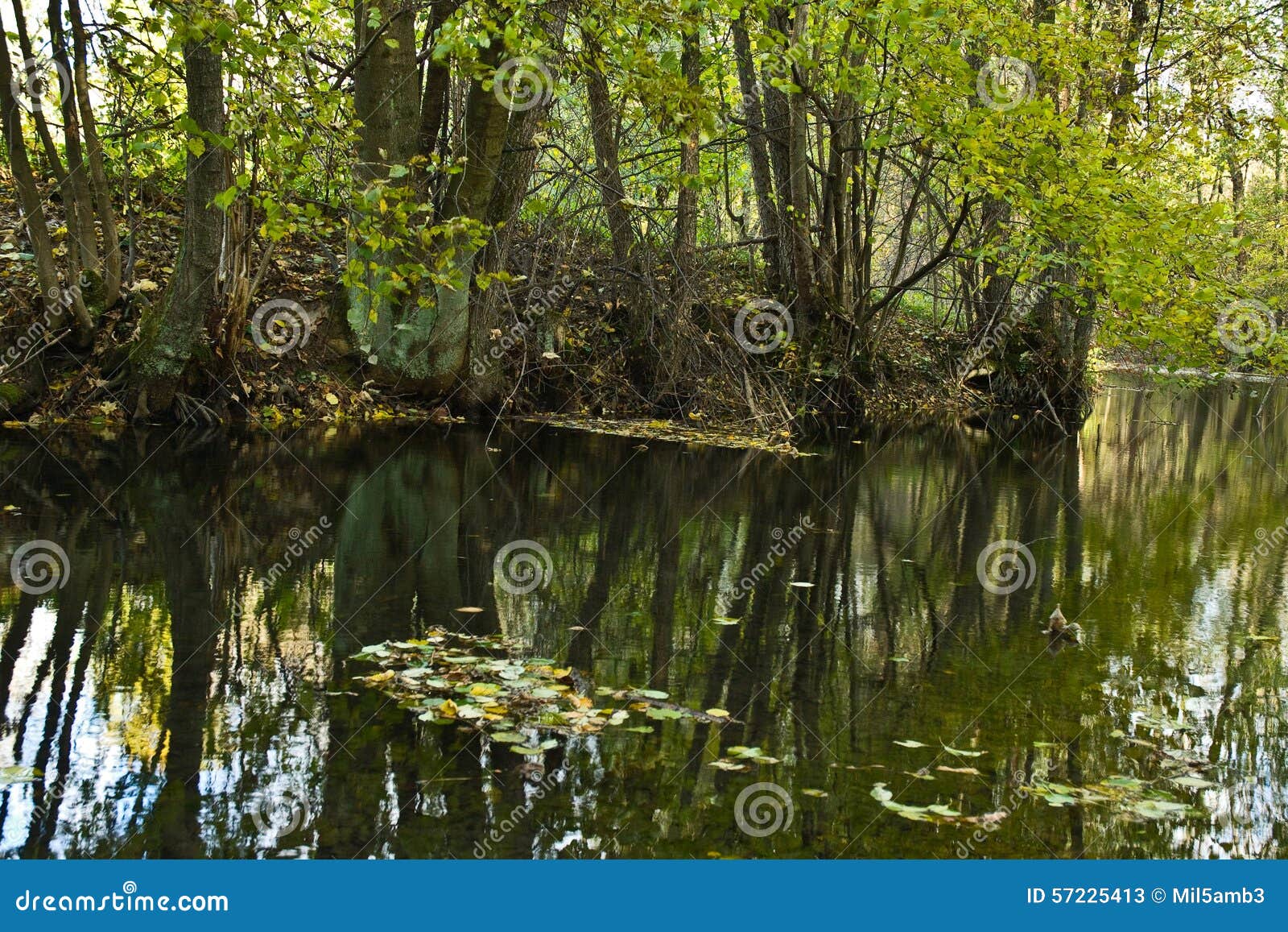 Pond in autumn stock image. Image of scene, outdoors - 57225413