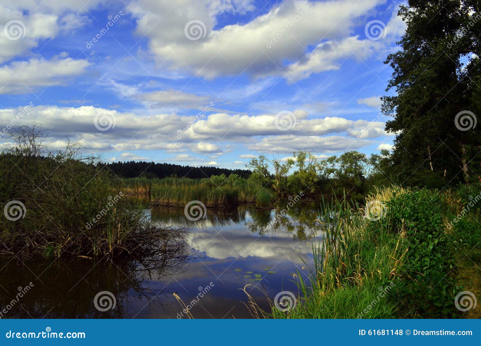 Pond stock photo. Image of relaxation, reflection, park - 61681148