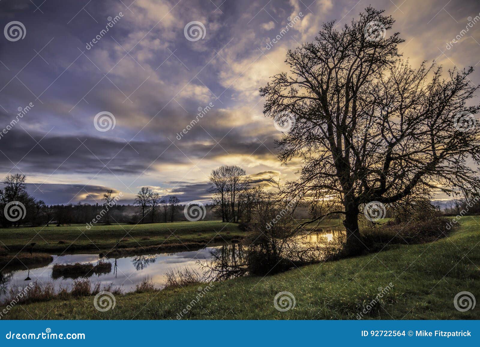 Backlit Of Tree On The Catatumbo River Near The Maracaibo Lake. Royalty ...