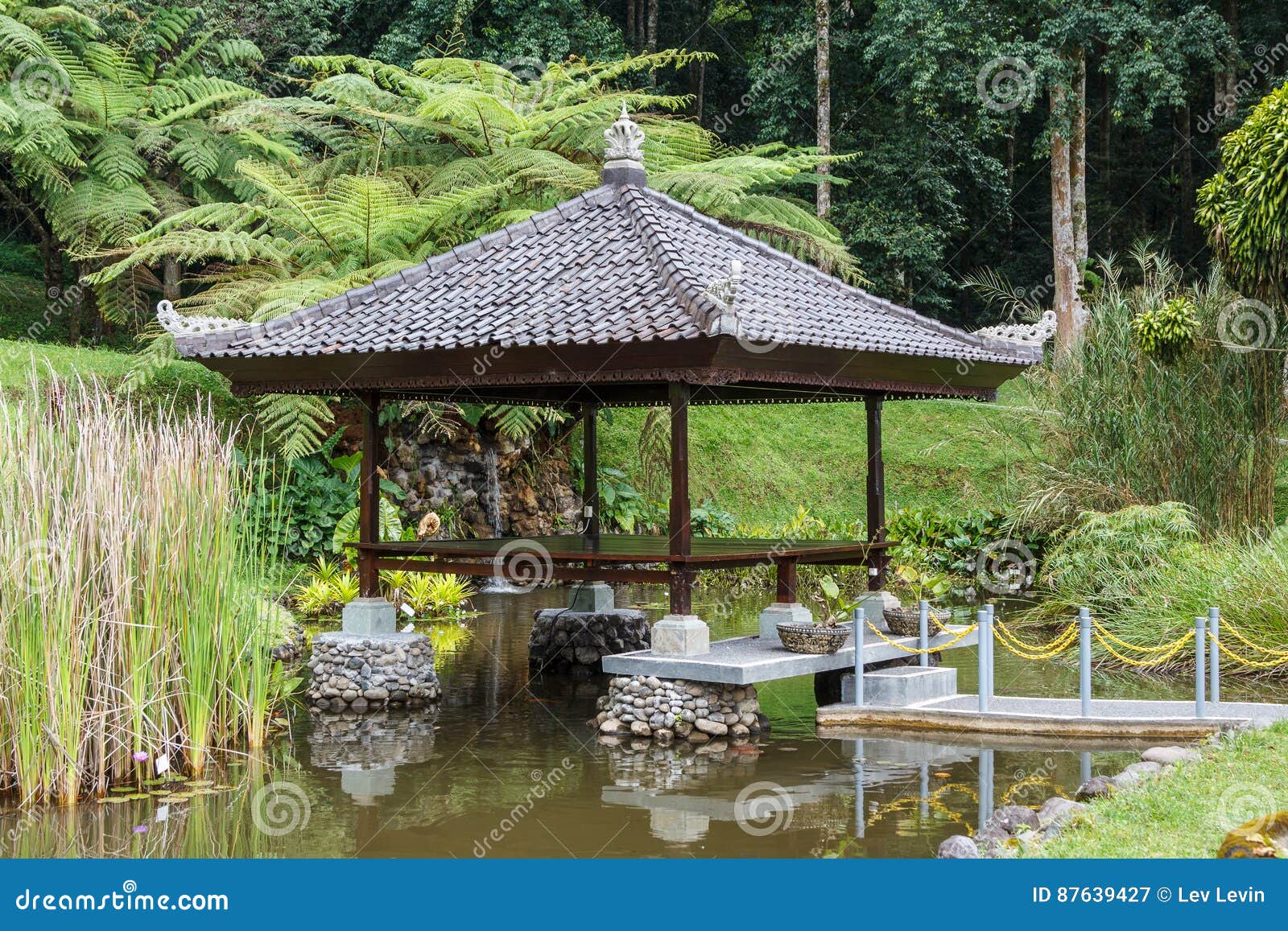 Pond in Bali Botanical Garden Stock Image - Image of asian, scenic ...