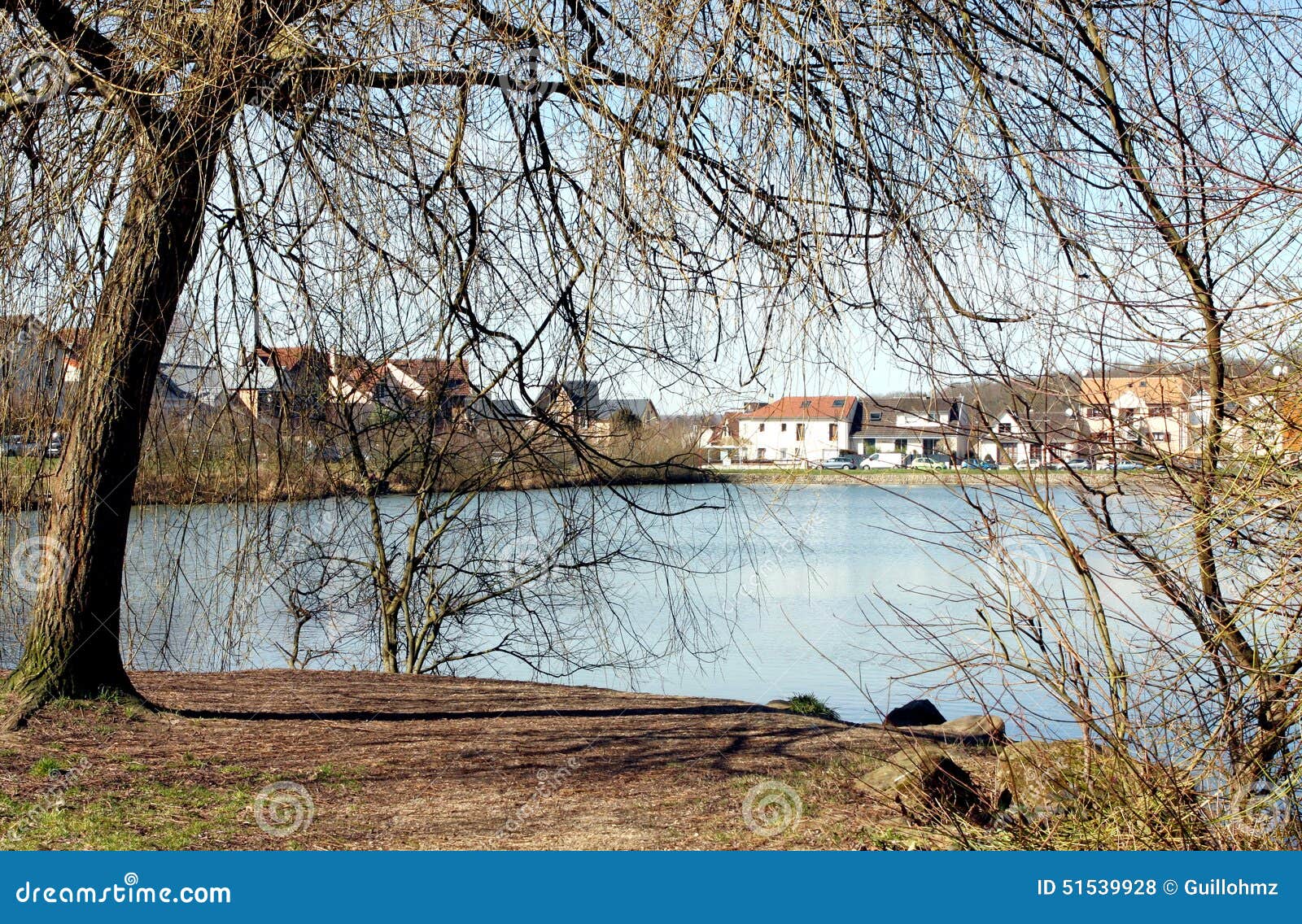 Pond bank stock photo. Image of lake, reservoir, lily - 51539928