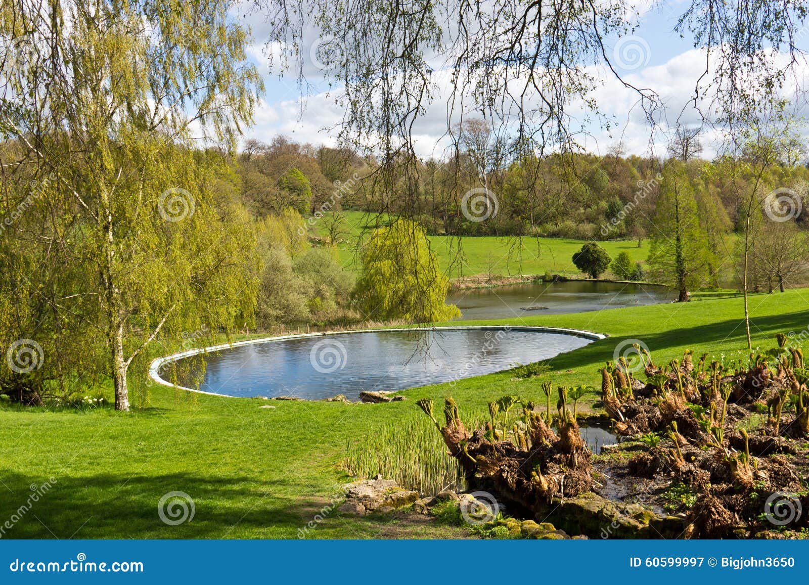 Pond in a Beautiful, Scenic Natural Landscape Stock Image - Image of ...