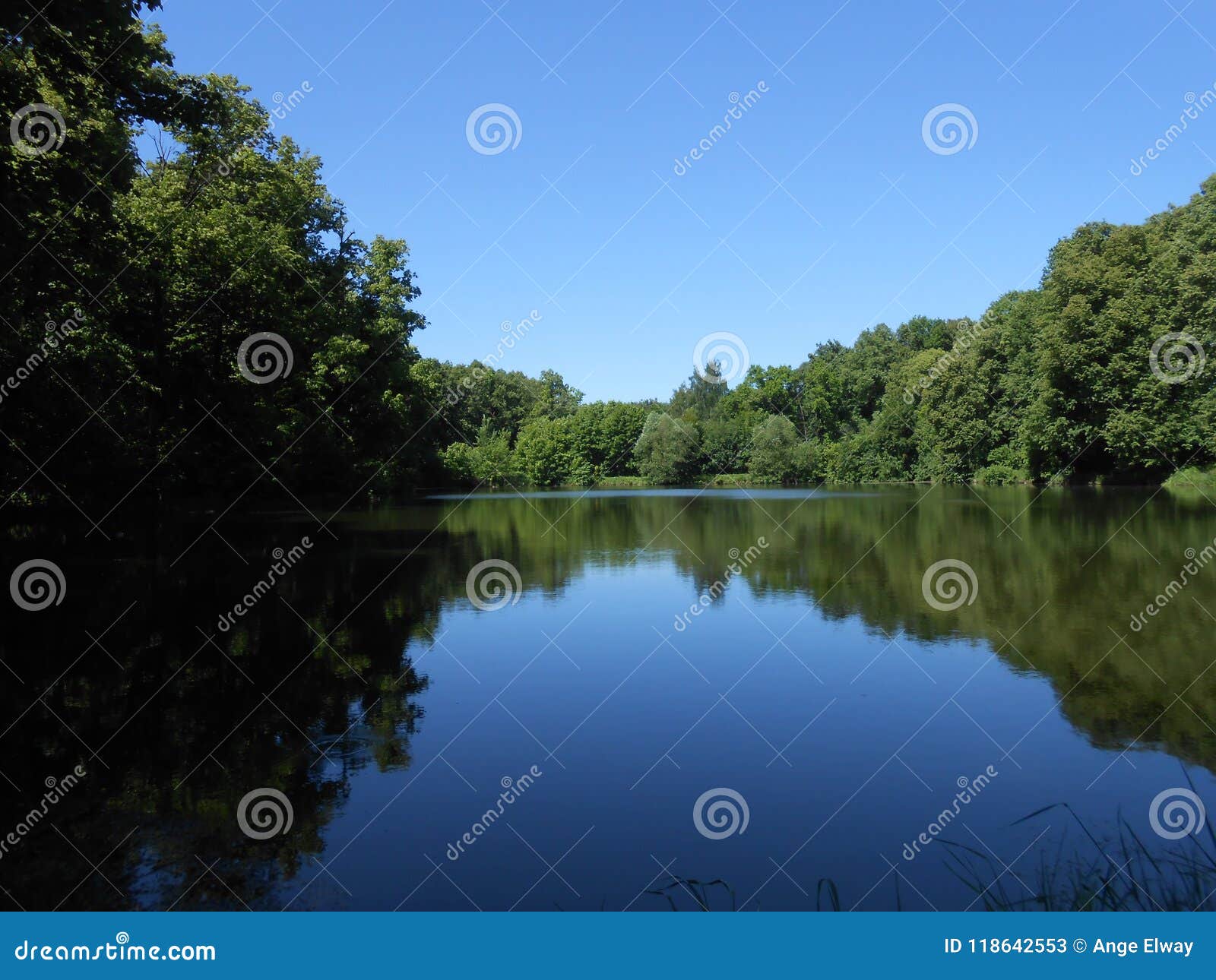 Pond with Reflections Behind the Forests in Summer. Stock Image - Image ...