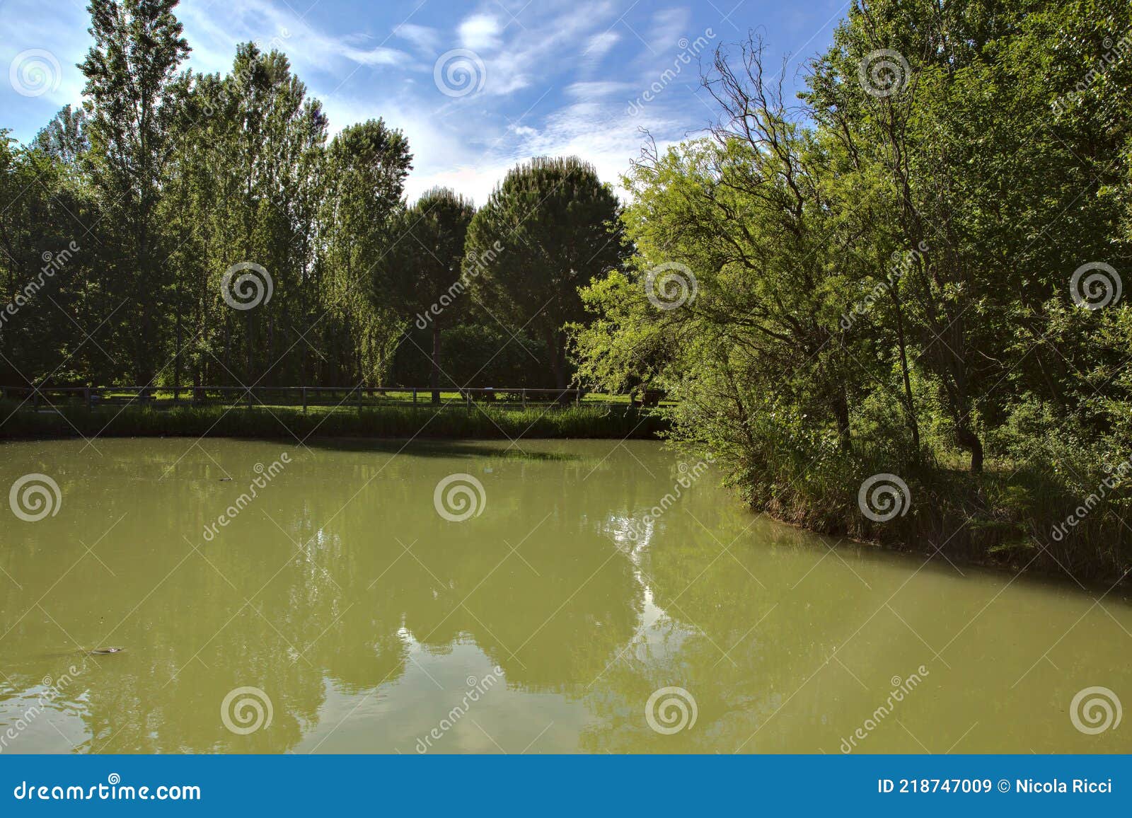 Pond Bordered by Trees in Spring in a Park in the Italian Countryside ...