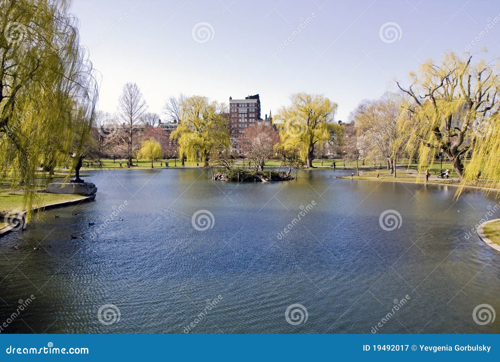Pond in Boston Common Garden Stock Image - Image of common, city: 19492017
