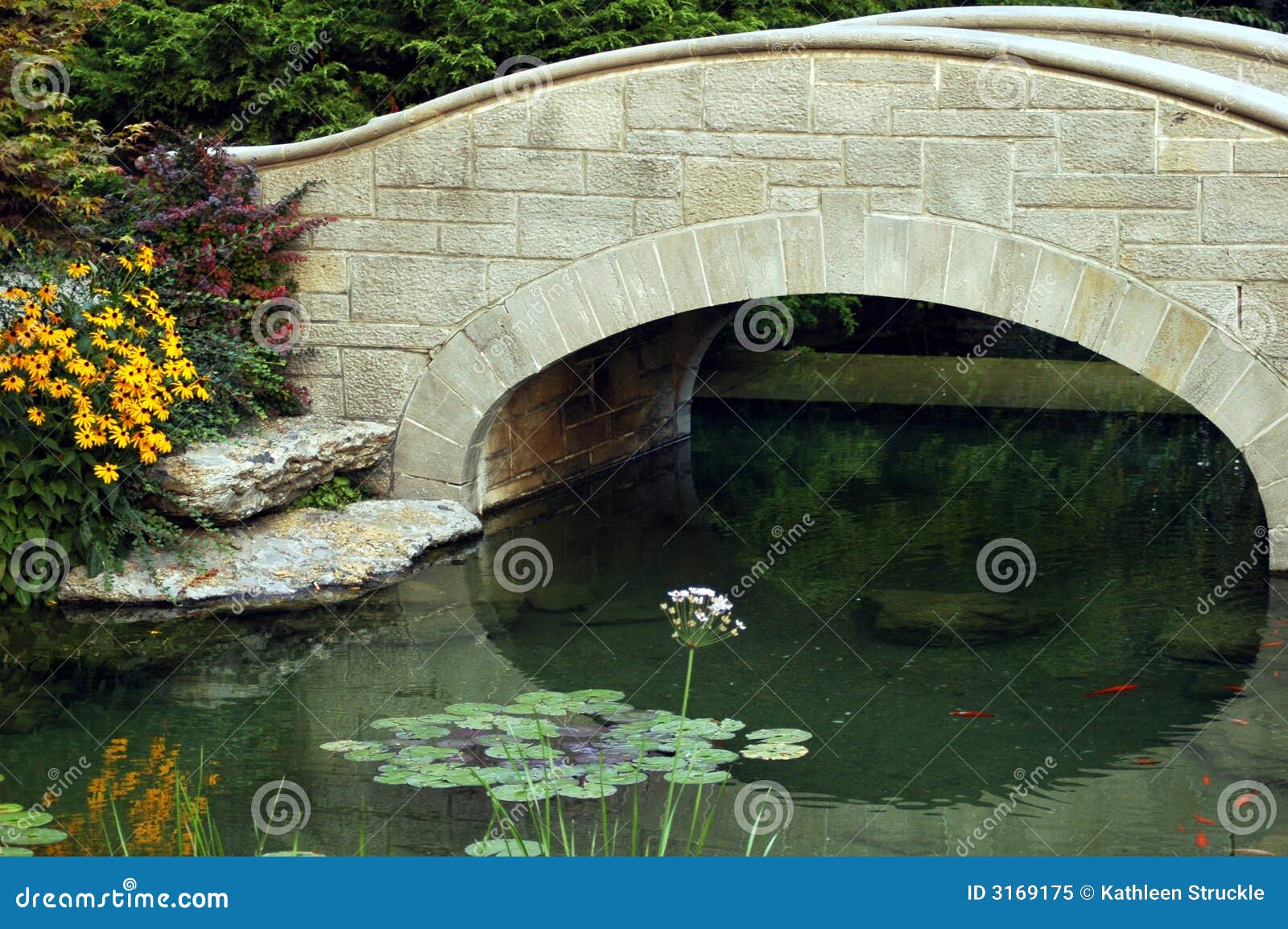 Pond and bridge in Ontario stock image. Image of plant - 3169175