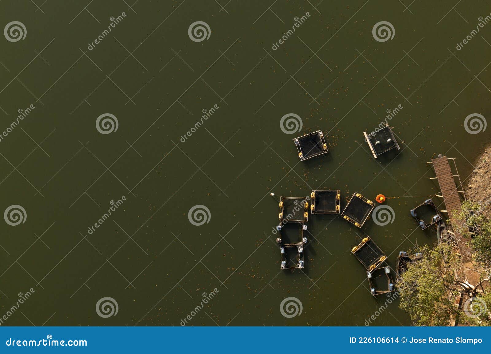 Pond with Cages for Fish Breeding Stock Photo - Image of breeding ...